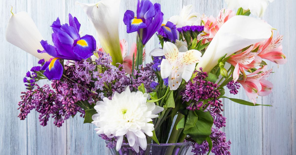 E bine sau nu să ai Cala în casă? Ce semnificație are această floare ...