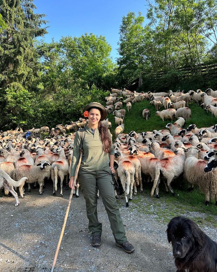Geta Sterp, întâlnire neașteptată în timp ce stătea cu oile pe drum ...