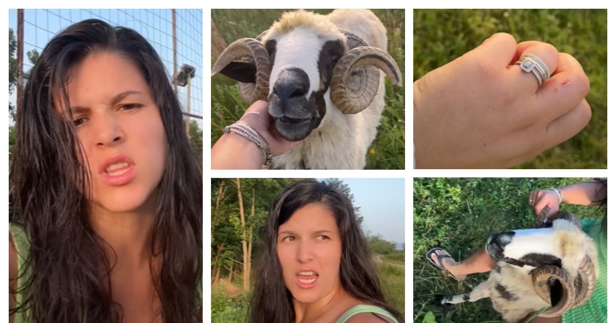 Geta Sterp, atacată de berbec! Ce a pățit fiica mamei Geta cu animalul ...