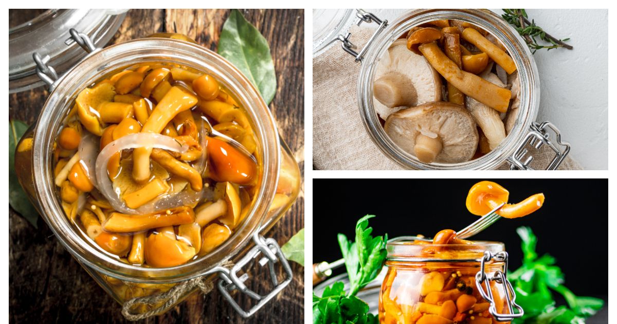 Secretul pentru a obține cele mai bune ghebe murate. Ce să adaugi în ...