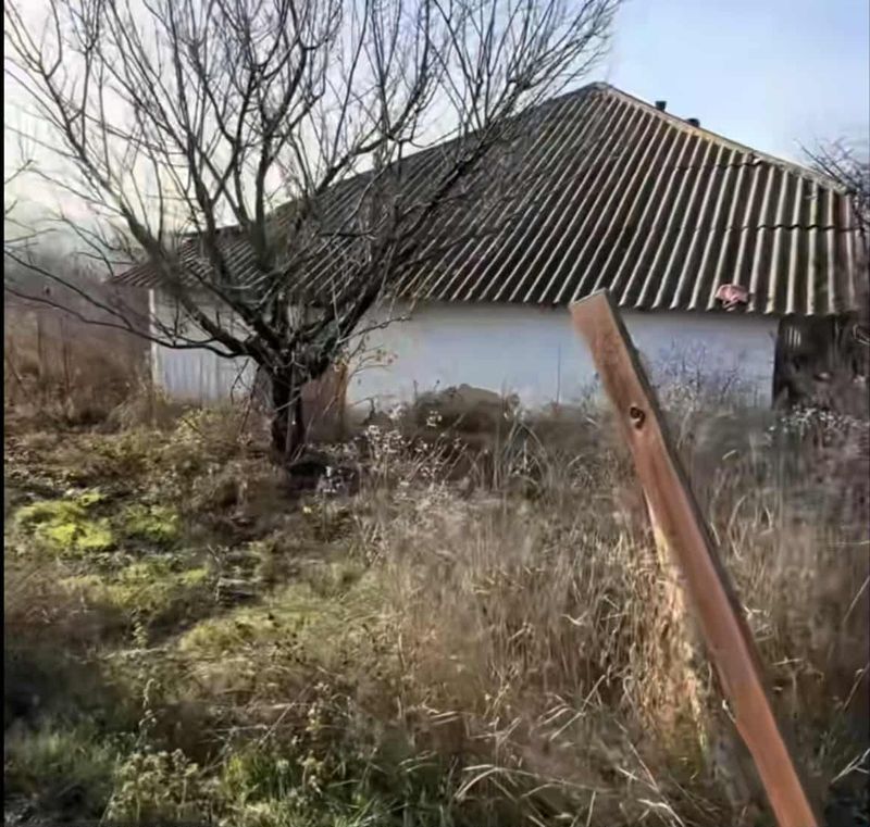 Maria Karapa a lăsat Cehia și a cumpărat o casă în Republica Moldova ...