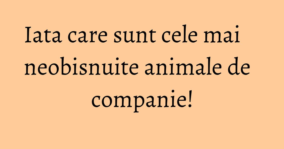 Iata care sunt cele mai neobisnuite animale de companie! - KFetele