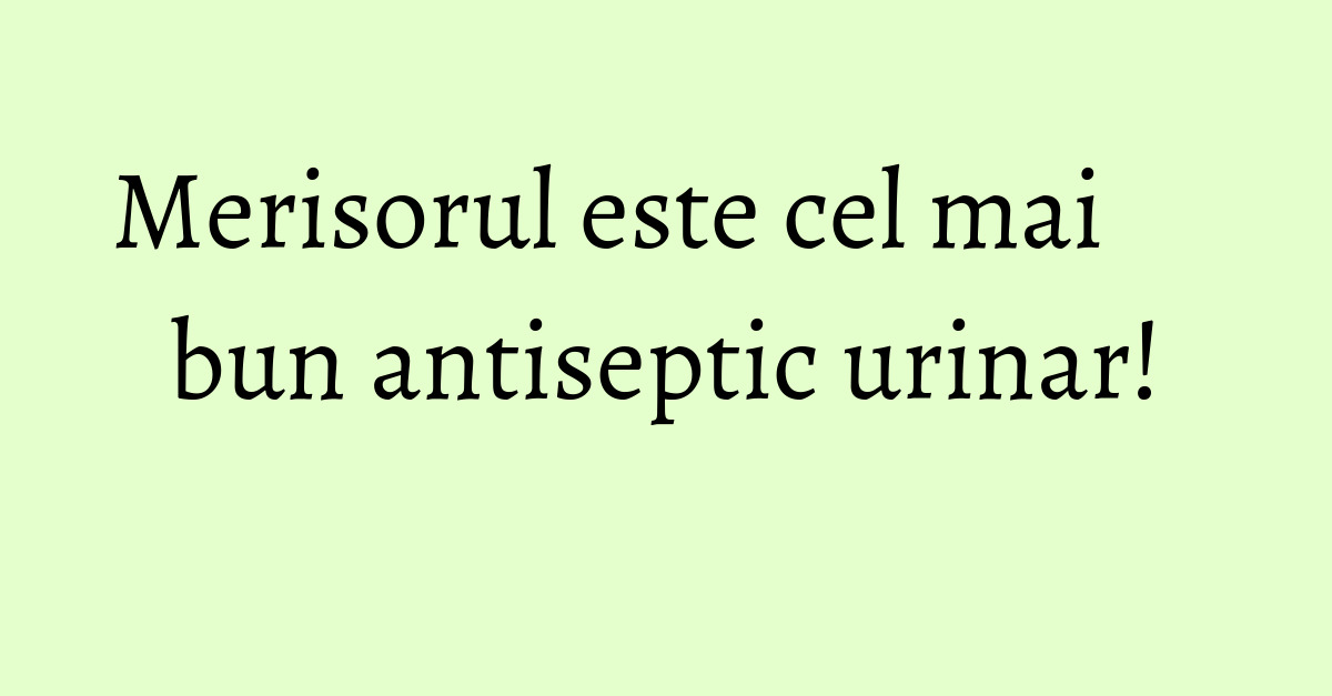 Merisorul este cel mai bun antiseptic urinar! - KFetele