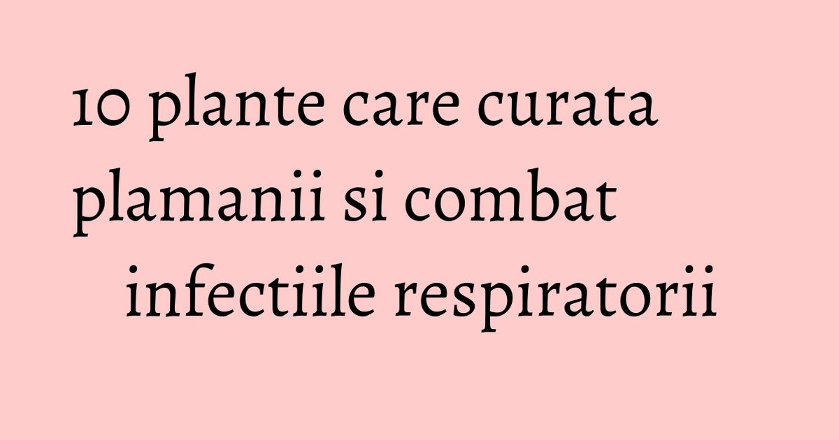 10 plante care curata plamanii si combat infectiile respiratorii - KFetele