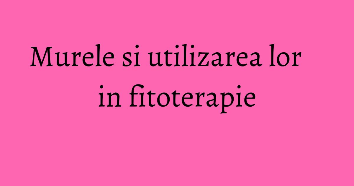 Murele si utilizarea lor in fitoterapie - KFetele