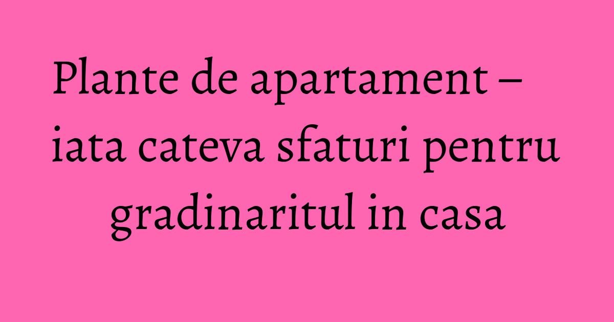 Plante de apartament – iata cateva sfaturi pentru gradinaritul in casa ...