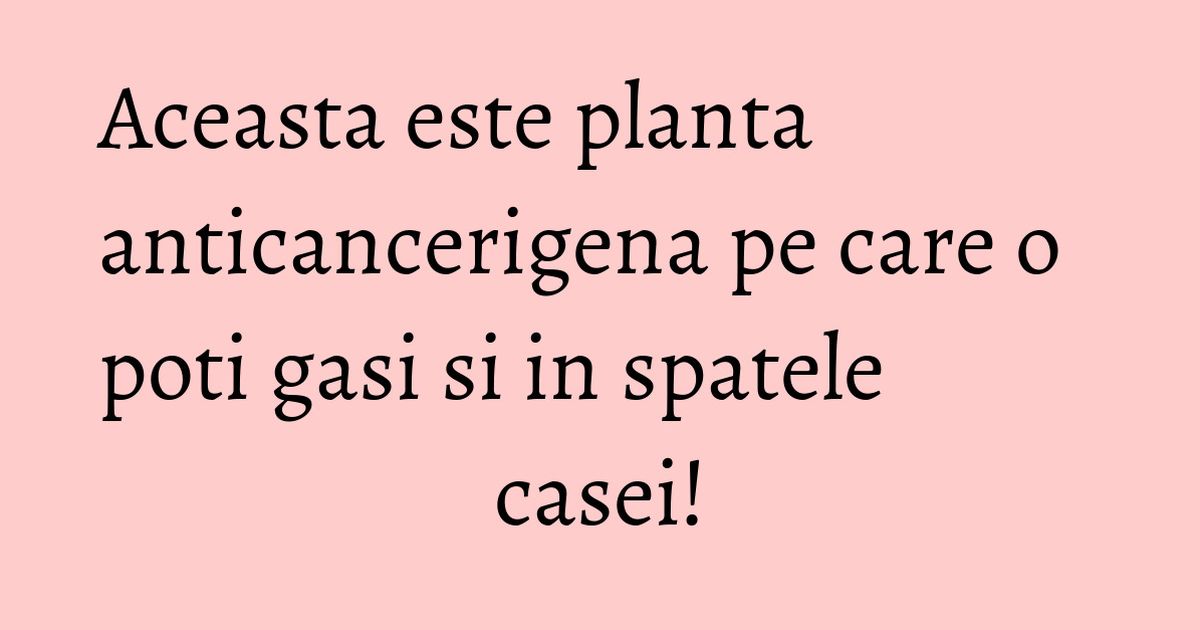 Aceasta este planta anticancerigena pe care o poti gasi si in spatele ...
