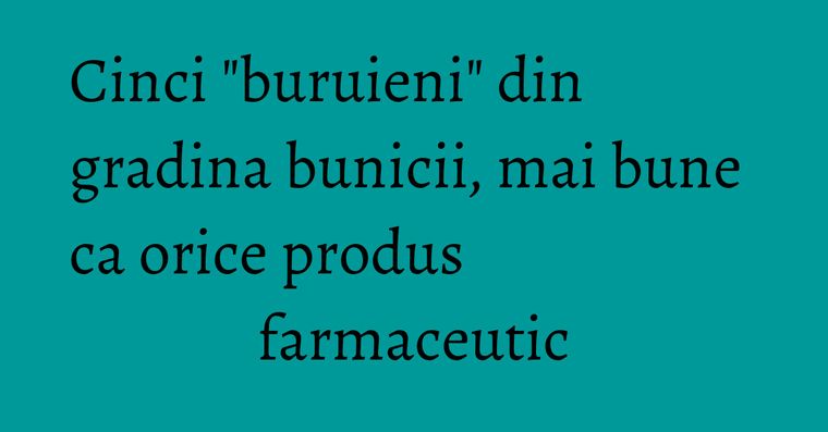 Cinci "buruieni" din gradina bunicii, mai bune ca orice produs ...