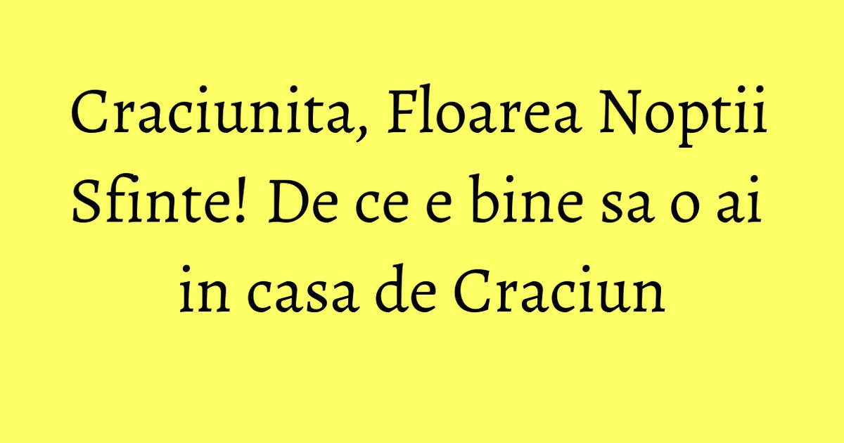 Craciunita, Floarea Noptii Sfinte! De ce e bine sa o ai in casa de ...