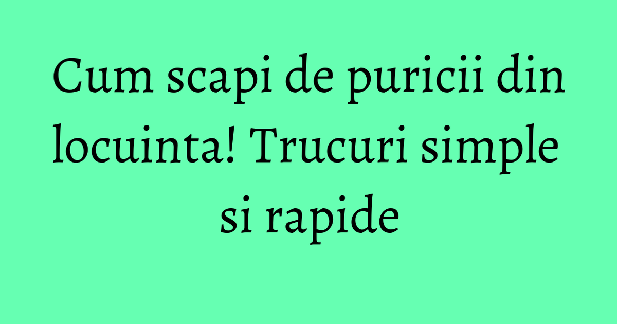 Cum scapi de puricii din locuinta! Trucuri simple si rapide - KFetele