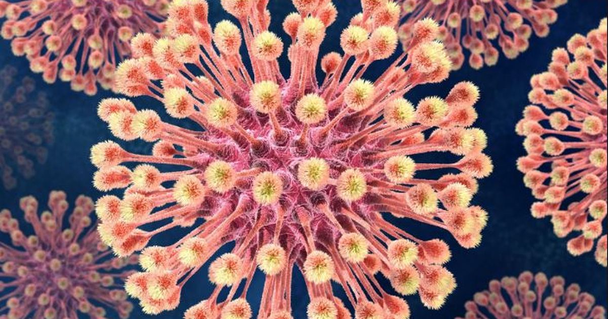 Microbii din organism! - KFetele