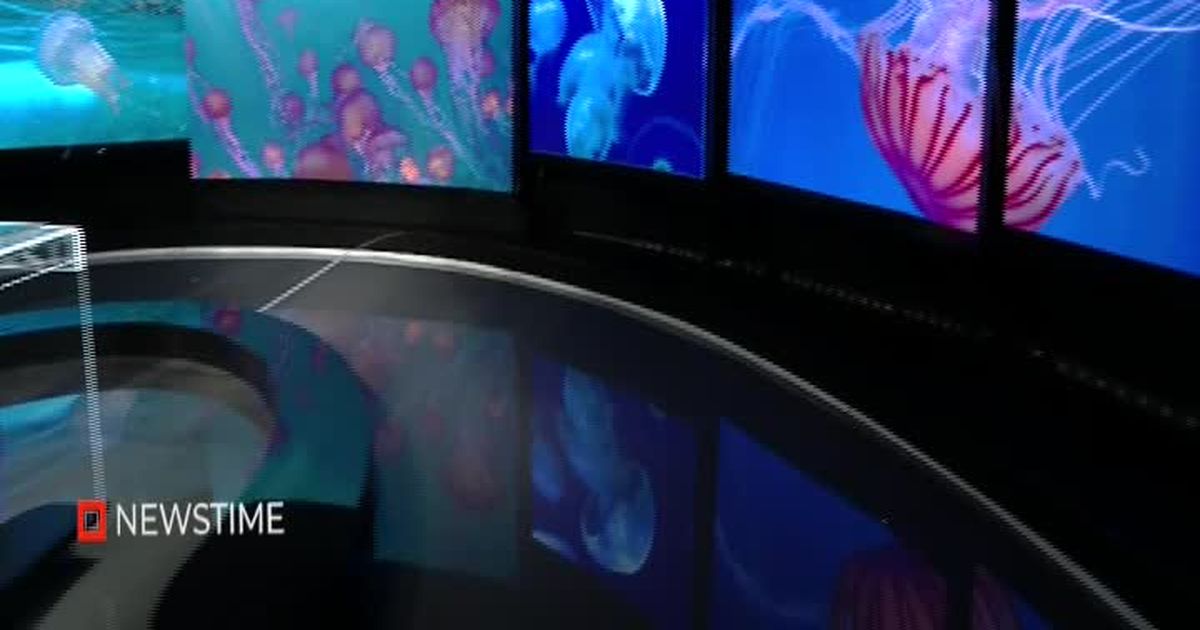 VIDEO: Invazie de meduze pe litoral - Kanal D Romania