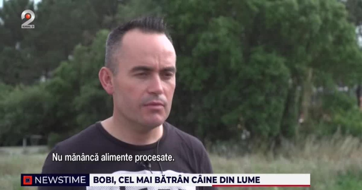Bobi, cel mai bătrân câine din lume - KANAL D2