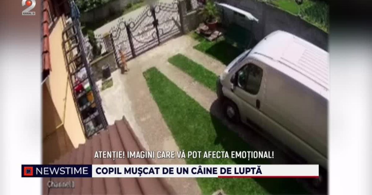 Copil mușcat de un câine de luptă - KANAL D2