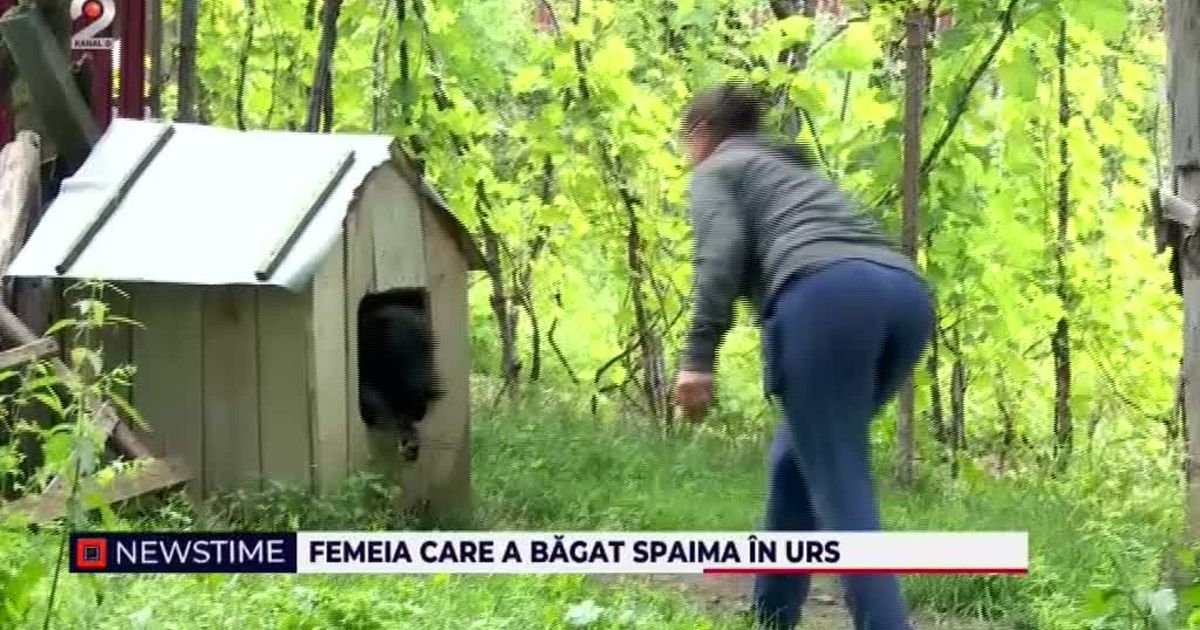 Femeia care a băgat spaima în urs - KANAL D2