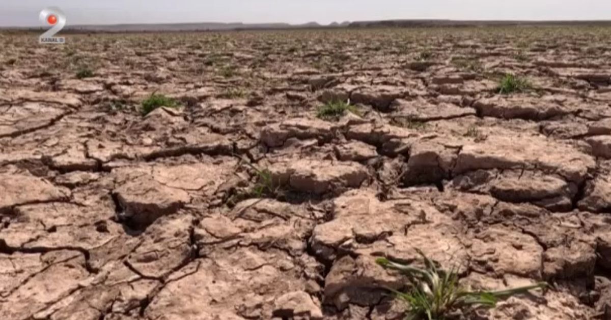 VIDEO Primăvara aduce zăpadă și secetă în România. Agricultorii sunt ...