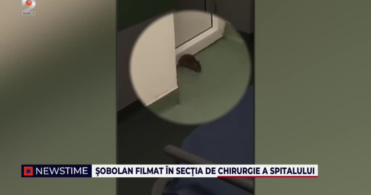 VIDEO Un șobolan a fost filmat în secția de chirurgie a spitalului ...
