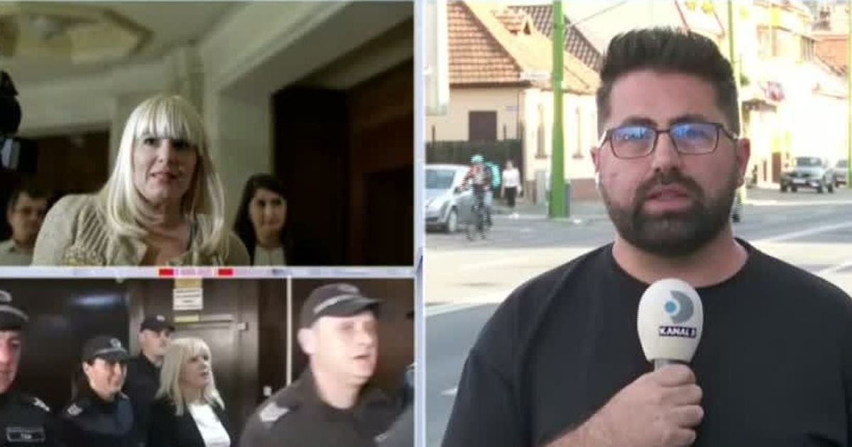 VIDEO Ore decisive pentru Elena Udrea! A obținut aviz pozitiv pentru eliberarea condiționată de ...