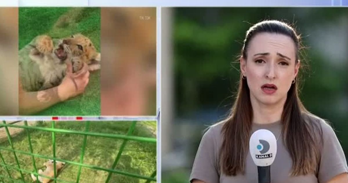 [VATIS AUTO:: NECORECTAT]Incident la Grădina Zoologică din Suceava: Un ...