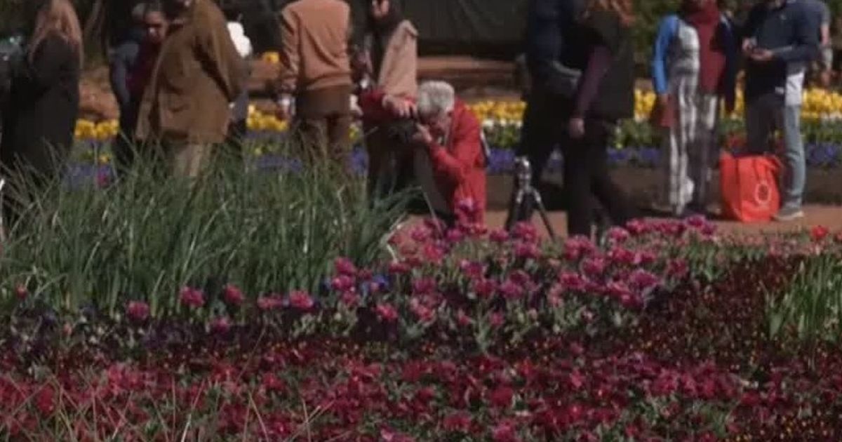 VIDEO Floriade 2024. Un spectacol de culoare și natură în inima ...