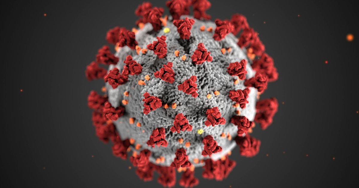 Alertă sanitară în mai multe țări! Un nou virus extrem de periculos ...