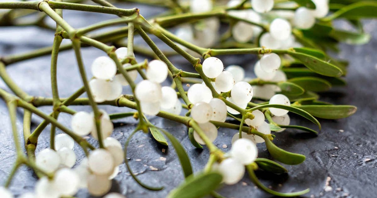 De ce e bine să te săruți sub vâsc de Revelion? - Radio Impuls