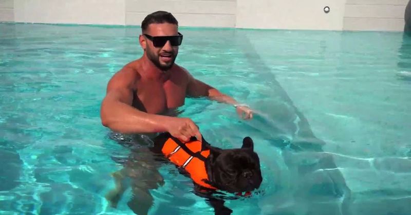 Cât a ajuns să câștige Cheluțu', cățelul lui Dorian Popa: „Prețurile ...