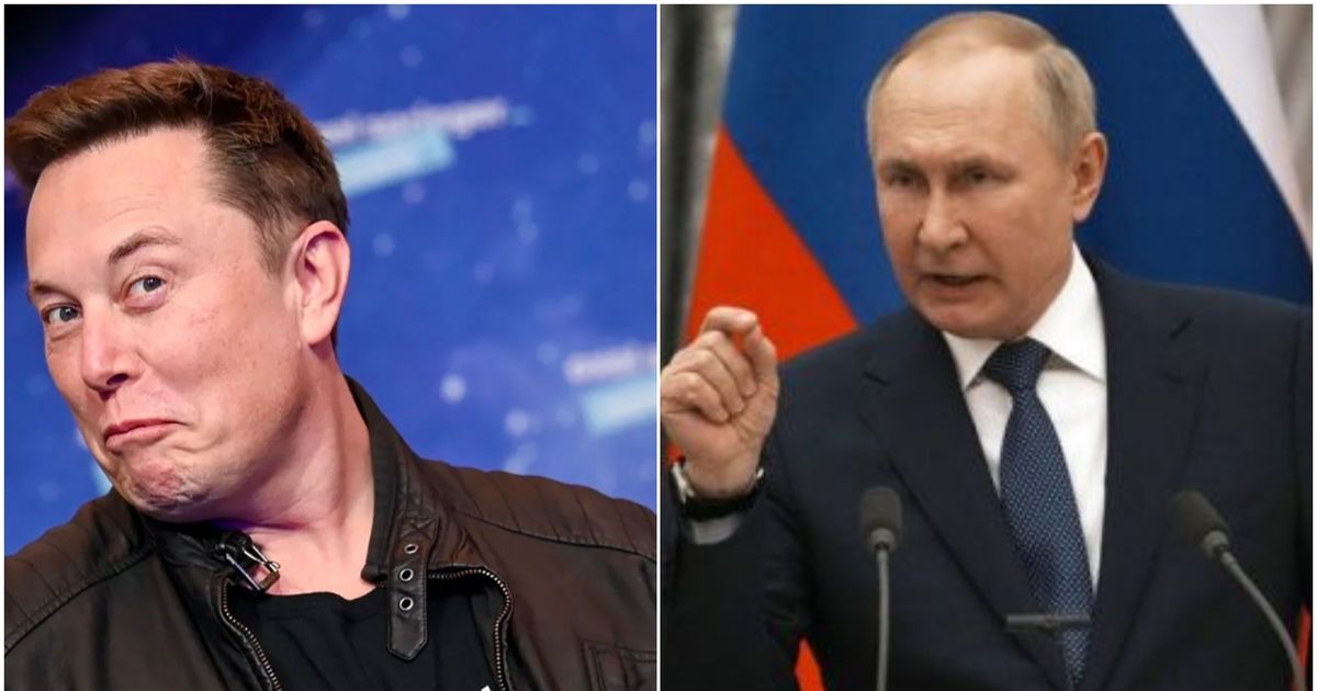 Elon Musk vs. Vladimir Putin: Care sunt regulile "Single combat" şi ...