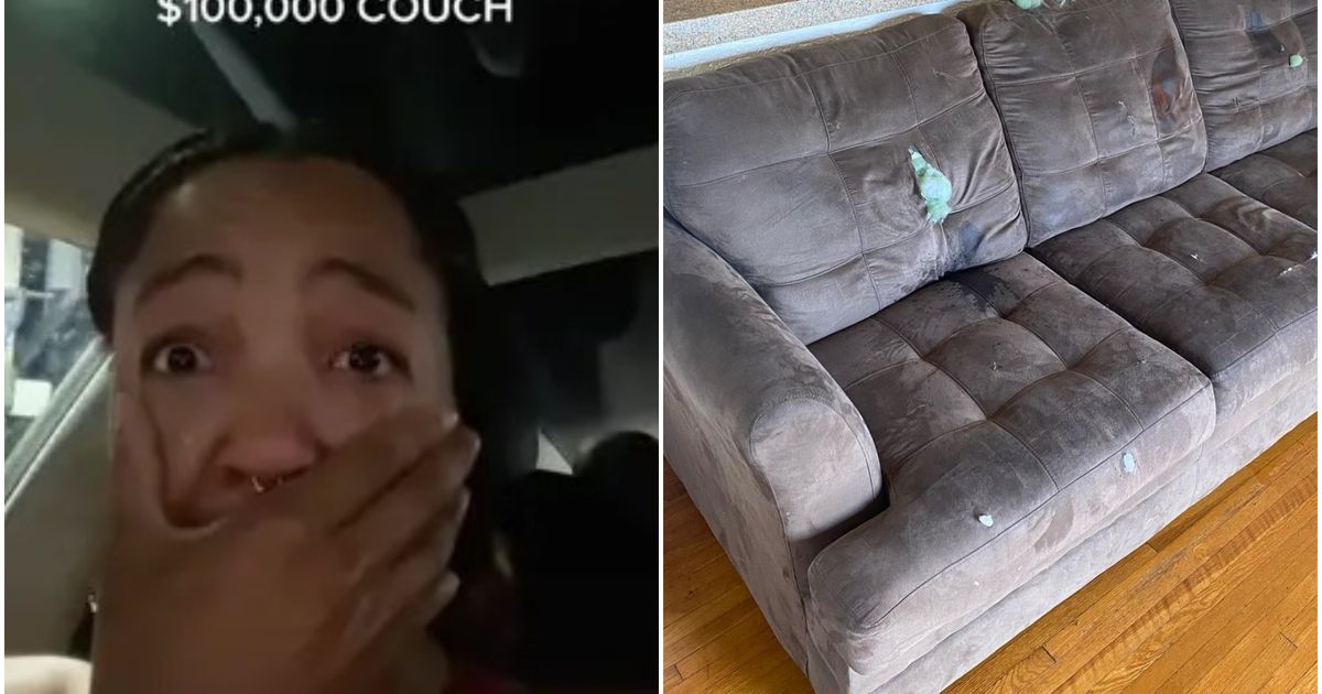 O influenceriță și-a implorat fanii să îi doneze bani, după ce a ...