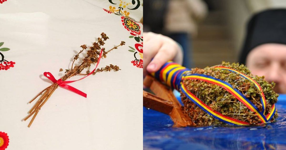 Ce semnificație are, de fapt, busuiocul de Bobotează? Tradiții legate ...