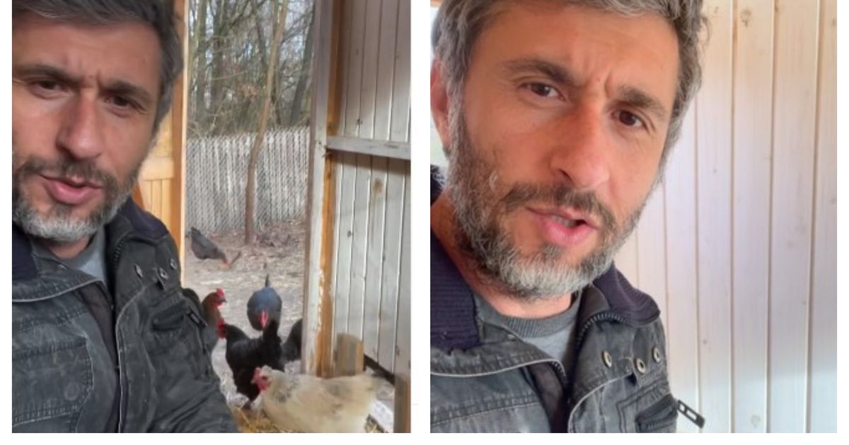 Dilema lui Dragos Bucur. Cum au ajuns găinile lui să se oua și iarna ...