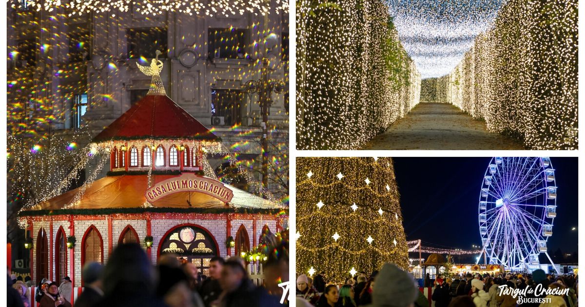 Ce faci în weekendul 21-22 decembrie 2024. Unde poți vedea cele mai ...