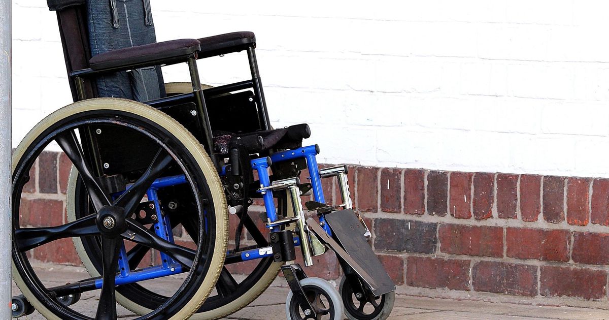 Cum se alege un cărucior cu rotile? Descoperă cele mai importante ...