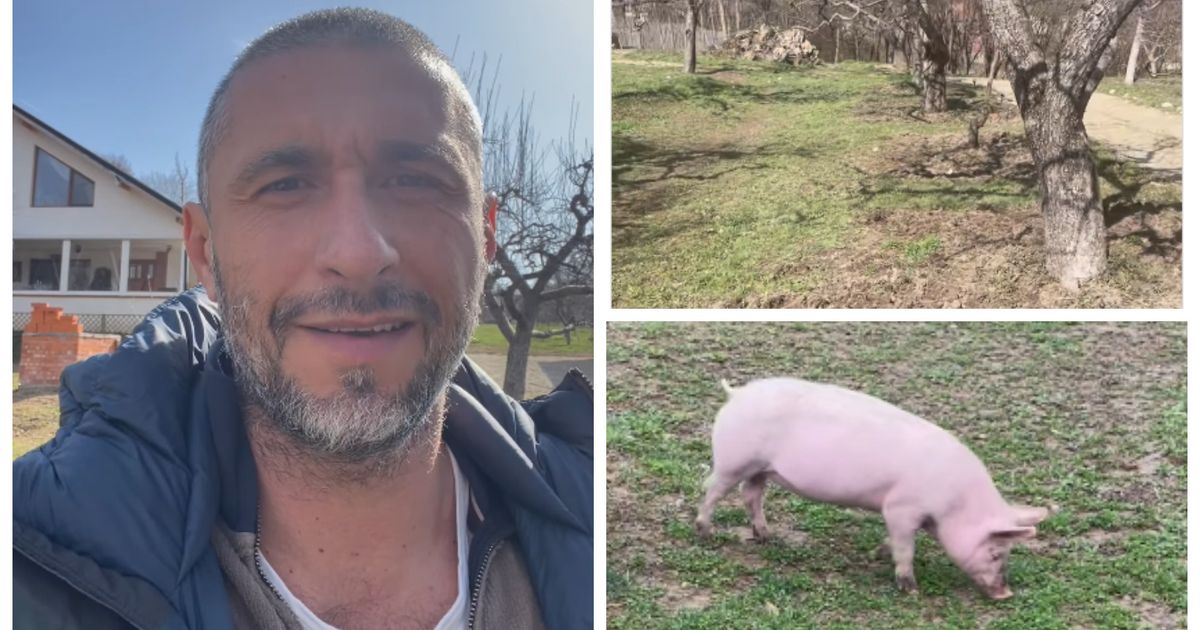 Purcica Betty, mană cerească pentru Dragoș Bucur. Cum și-a găsit ...