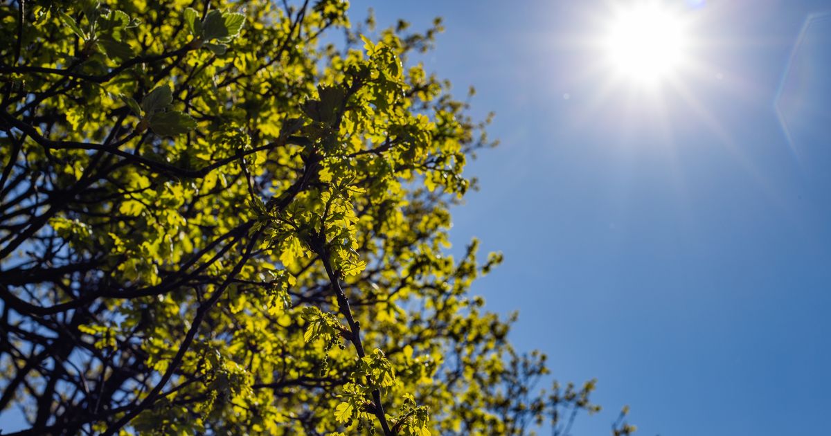 Prognoza ANM pentru minivacanța de 1 Mai 2025. Meteorologii anunță ...