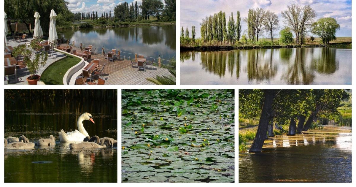 Preajba-Făcăi, paradisul ascuns la 10 km de CRAIOVA: ape liniștite și ...